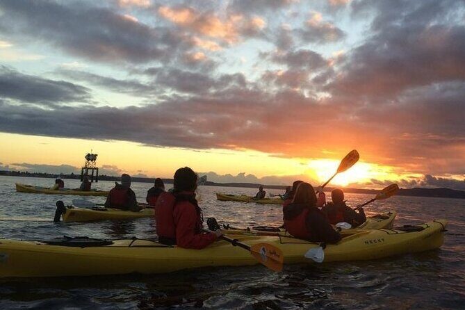 West Seattle Sunset Sea Kayak Tour - Why This Tour Offers Excellent Value
