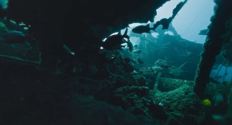 West Shore Oahu Shallow Reef Scuba Dive for Certified Divers - Key Points