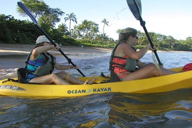 West Side Discovery Kayak & Snorkel Tour - The Experience: What You Can Expect