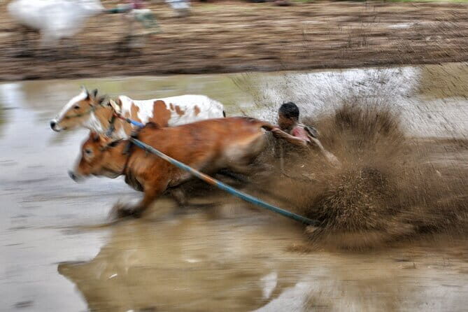 West Sumatra Private Tour from Padang By Private Car - Key Points at a Glance