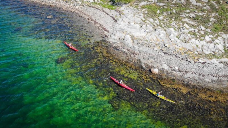 West Sweden: Paddle with seals - The Sum Up: Who Should Take This Tour?