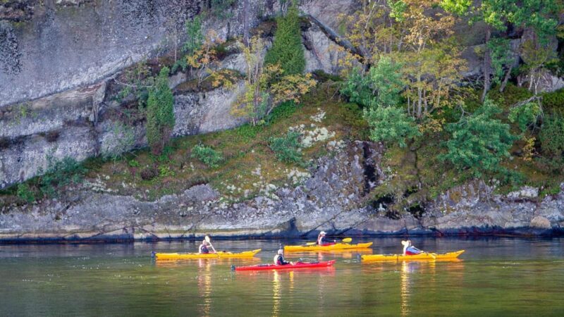 West Sweden: Sea Kayak Delight in Nature Reserves - Sample Itinerary and What You’ll Experience