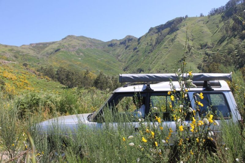 West Tour Full day 4x4 Jipe Tour Natural Swimming Pools - The Experience: Transport, Guides, and Group Size