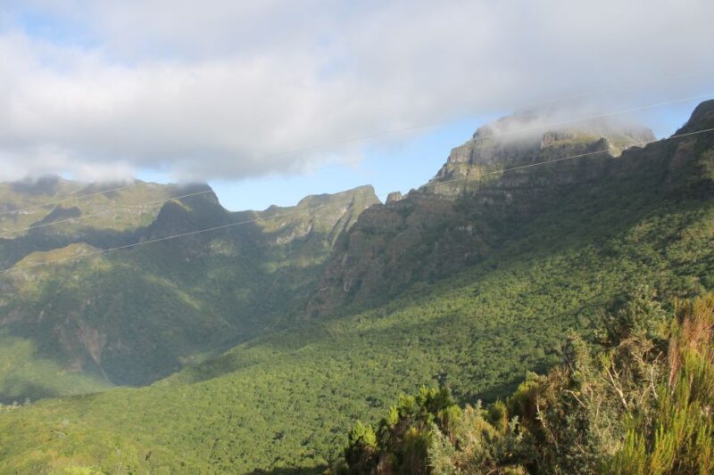 West Tour Full day 4x4 Jipe Tour Natural Swimming Pools - Frequently Asked Questions