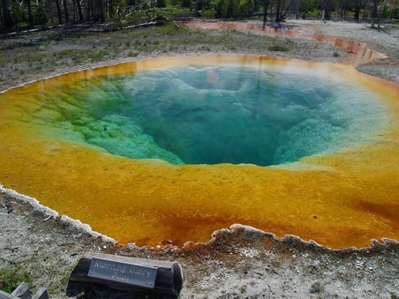 West Yellowstone: Yellowstone Day Tour Including Entry Fee - Who Is This Tour Best Suited For?