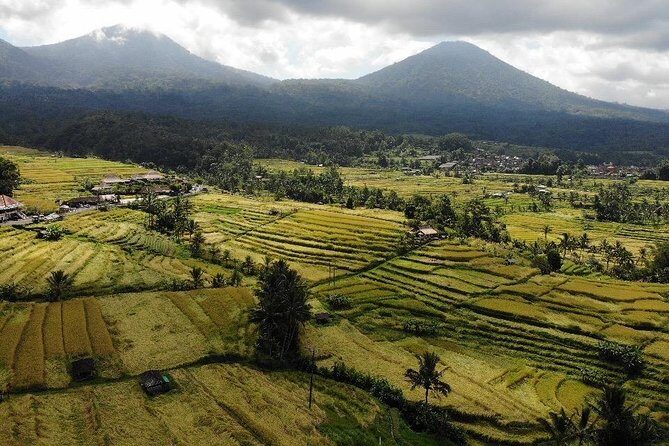 Western Bali Temples; Jatiluwih Rice Terraces & Water Temples Tour - Analyzing the Value: What Does $263 Buy You?