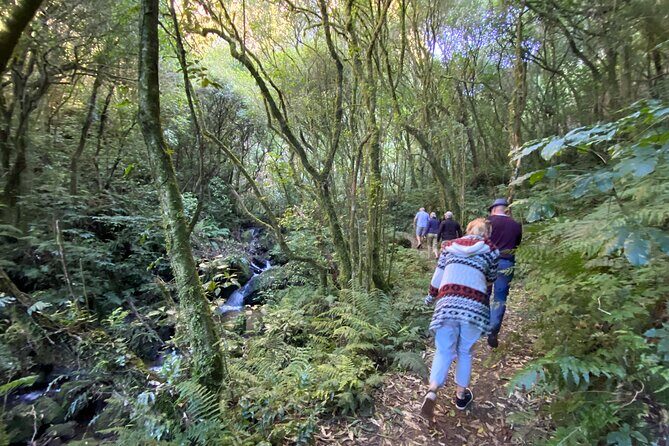 Western Bays Sightseeing Tour from Kinloch Lake Taupo - What Travelers Are Saying