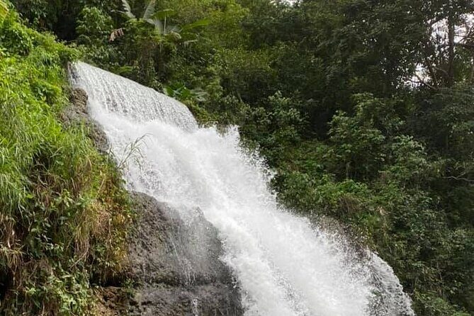 Western Island Full Day Tour - The Experience and Value