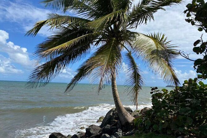 Western Island Full Day Tour - Final Thoughts