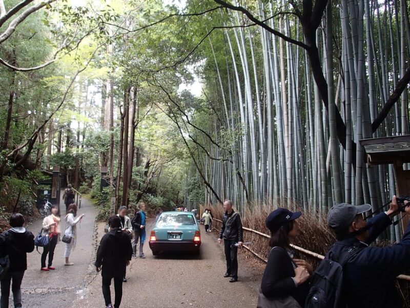 Western Kyoto Walking Tour with Local Guide - What Travelers Say & Why This Tour Works