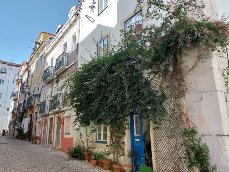 Western Lisbon: Tradition meets change (Walking tour) - Authenticity and Value