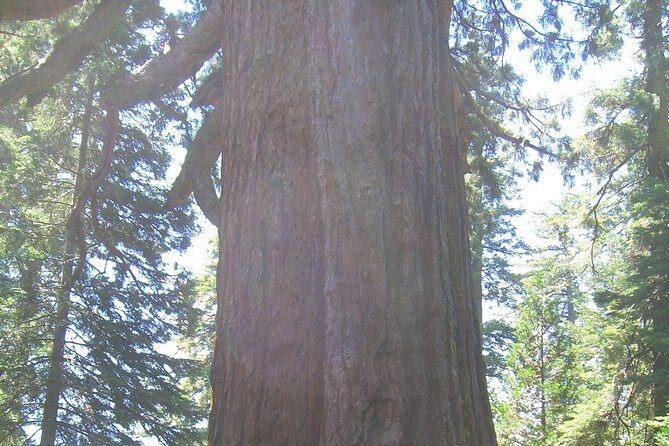 Western National Parks 7 Day Explorer Lodging - Final Thoughts