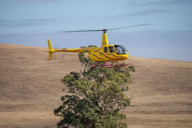 Western Ridge & Valley Floor: 20-Minute Helicopter Flight - The Sum Up