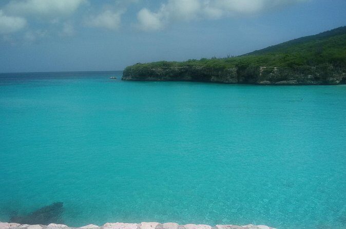 Western snorkel & swim Trip - Final Thoughts