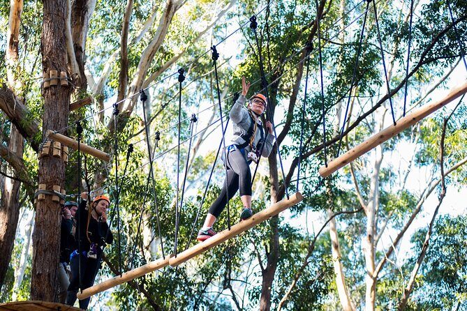 Western Sydney Tree Ropes Course - What to Expect During Your Adventure