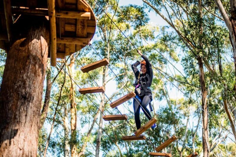 Western Sydney: Tree Ropes Courses - The Heart of the Adventure: Exploring the Course