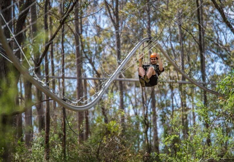 Western Sydney: Zipcoaster Experience - An In-Depth Look at the Zipcoaster Adventure