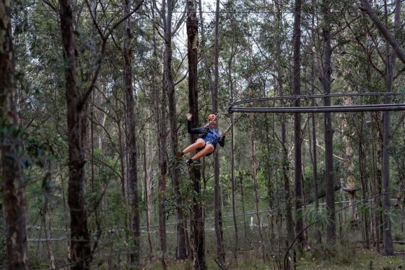 Western Sydney: Zipcoaster Experience - Why This Experience Is Worth Considering