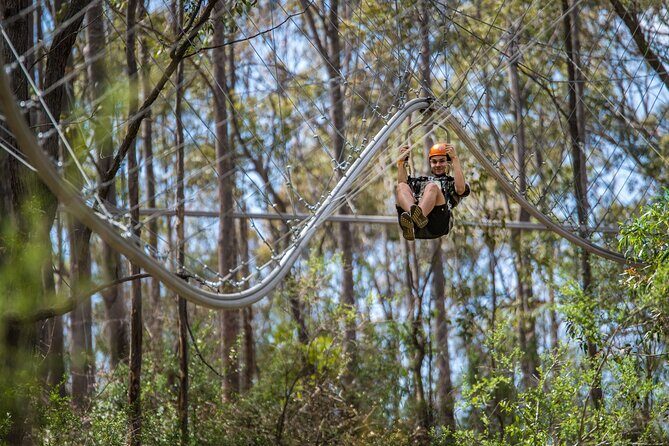 Western Sydney Zipcoaster Experience - What to Expect from the Western Sydney Zipcoaster Experience