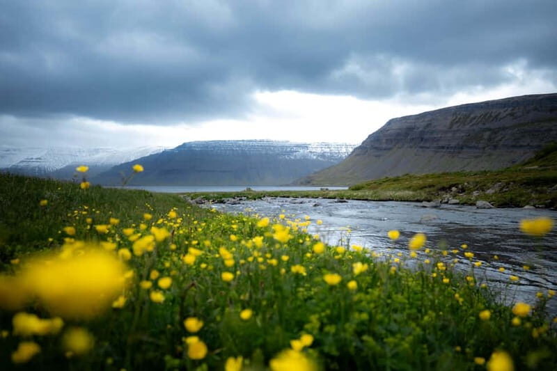 Westfjords Express Tour of Fishing Villages from Ísafjörður - What to Expect from the Itinerary