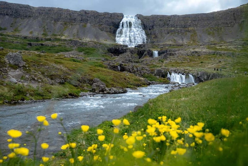 Westfjords Express Tour of Fishing Villages from Ísafjörður - The Sum Up