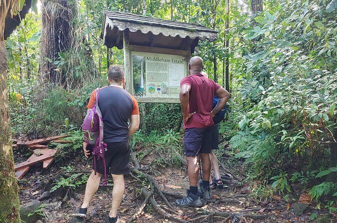 Wet and Rugged Dominica - What the Reviews Say (Based on Available Feedback)