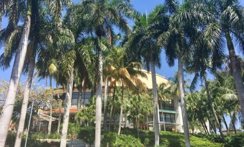 Wet & Dry Fort Lauderdale - Authenticity and Real Traveler Feedback