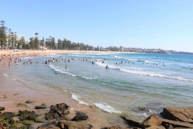 Wet & Dry Manly from Sydney - Authentic Encounters and Guide Quality