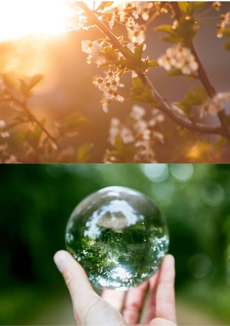 Wexford: A Mindful Retreat Forest Bathing & Nature Therapy - Why this Experience Is Worth Considering