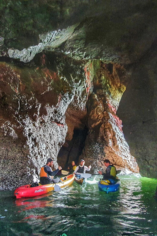 Wexford: Hell Hole & Back Sea Cave Kayaking - Wexford: Hell Hole & Back Sea Cave Kayaking