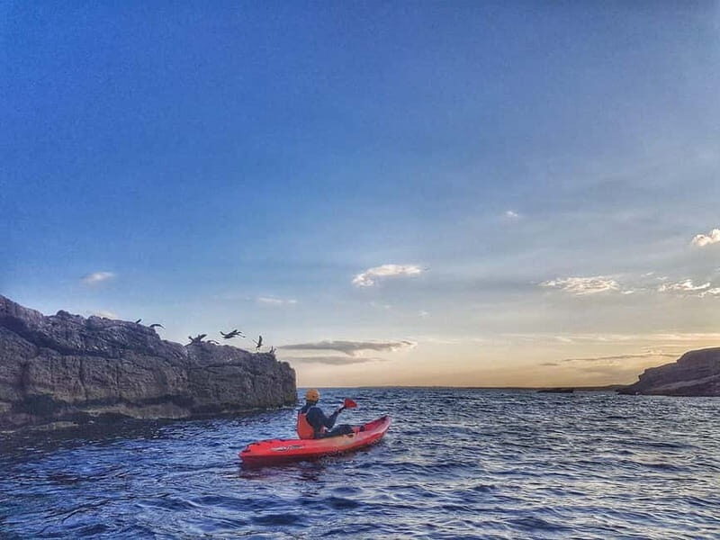 Wexford: Sunset Kayaking Experience - What Do You Do During the Tour?