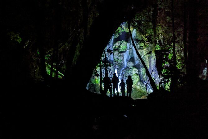 Whaka Trails and Maori Village Combo Tour - Final Thoughts