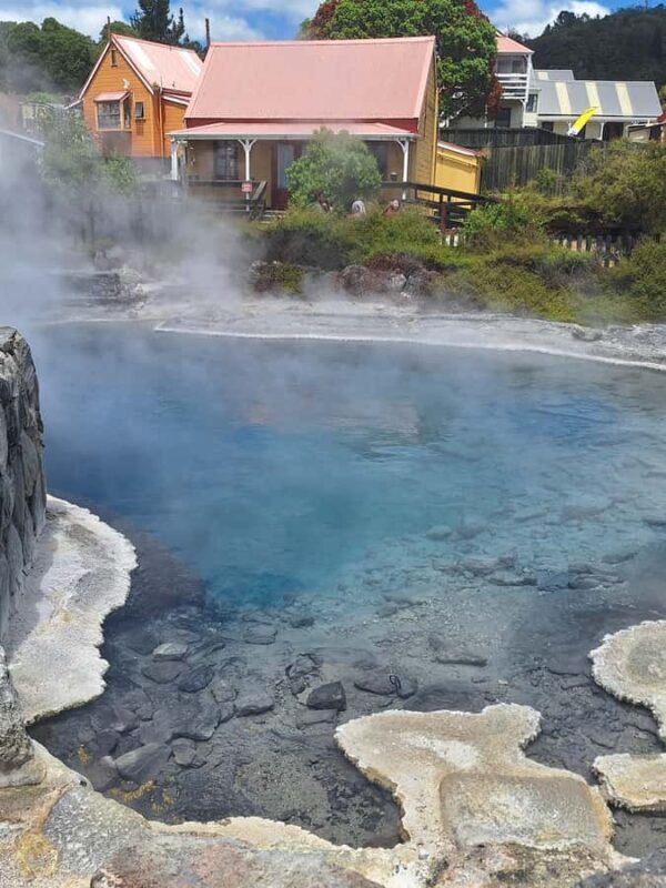 Whakarewarewa Maori Village, Lakes, and Redwoods Forest - Analyzing the Value