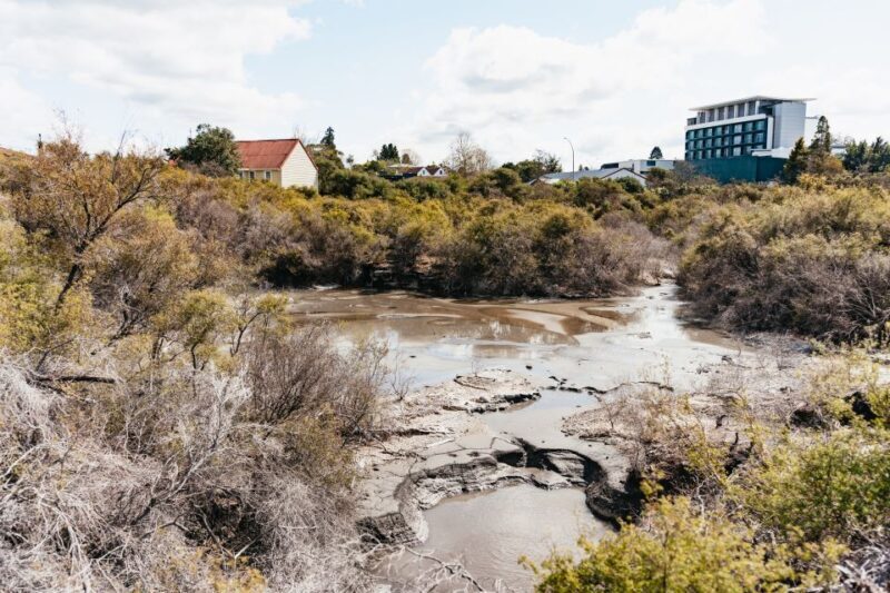 Whakarewarewa: Self-Guided Geothermal Trails - Key Points