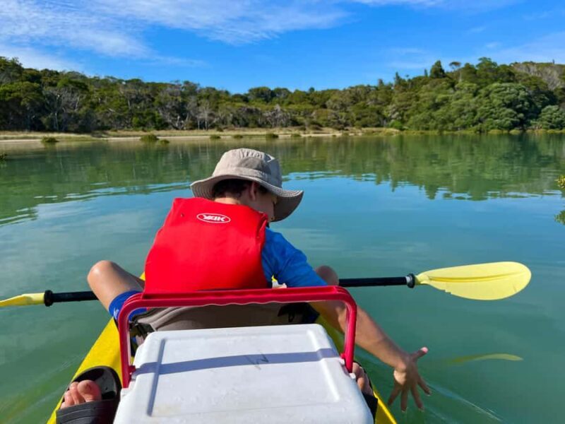 Whakatane: Ohiwa Harbour Guided Kayak Tour - Exploring Ohiwa Harbour: A Closer Look