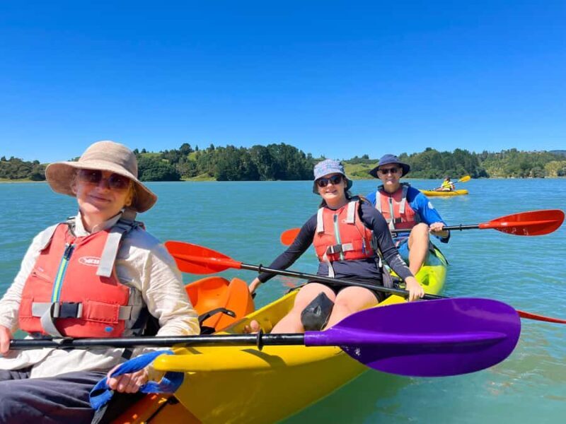 Whakatane: Ohiwa Harbour Guided Kayak Tour - Who Will Enjoy This Tour?