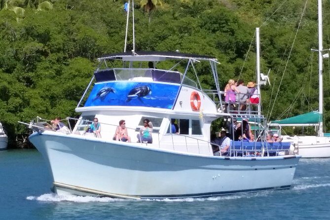 Whale and Dolphin Watching Cruise in St Lucia - Practical Details: Group Size, Duration, and Price