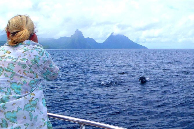 Whale and Dolphin Watching Cruise in St Lucia - Weather and Seasonality: What You Should Know