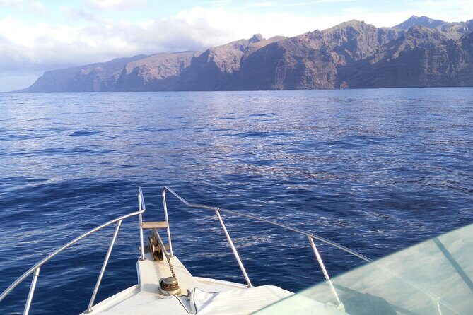 Whale and dolphin watching tour Los Gigantes and Masca in small groups - Final Thoughts