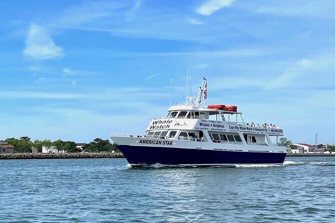 Whale Dolphin and Bird Watching Ecotour Cruise - Introduction: Why This Tour Is Worth Your Time