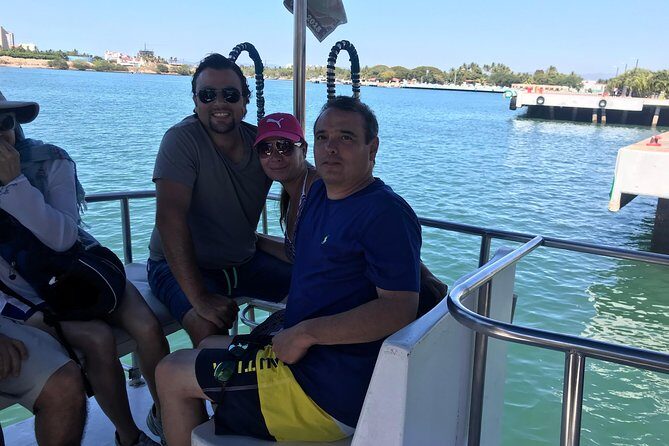 Whale & Dolphin Watching Cruise in Puerto Vallarta All Inclusive - The Good, the Not-So-Good, and the Real