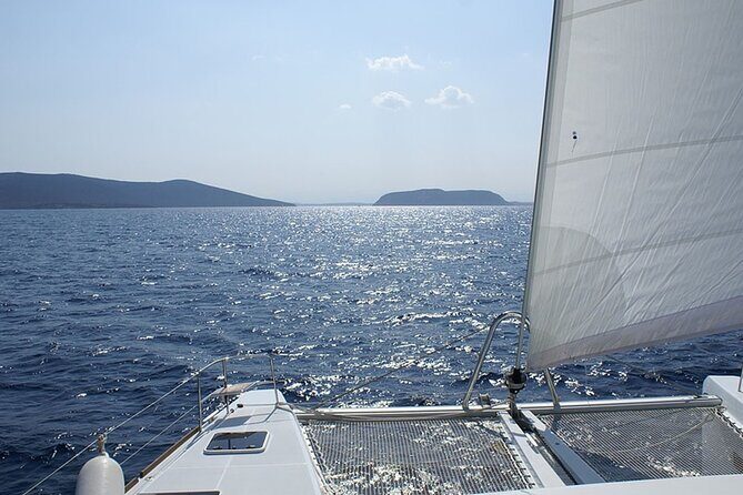 Whale & Dolphin Watching in Tenerife (Puerto Colon) On a Large Catamaran - The Value: Is It Worth It?