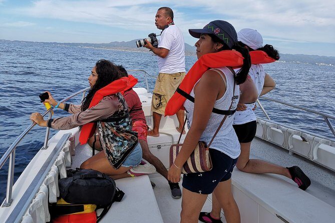 Whale Encounter Puerto Vallarta - The Experience in Detail