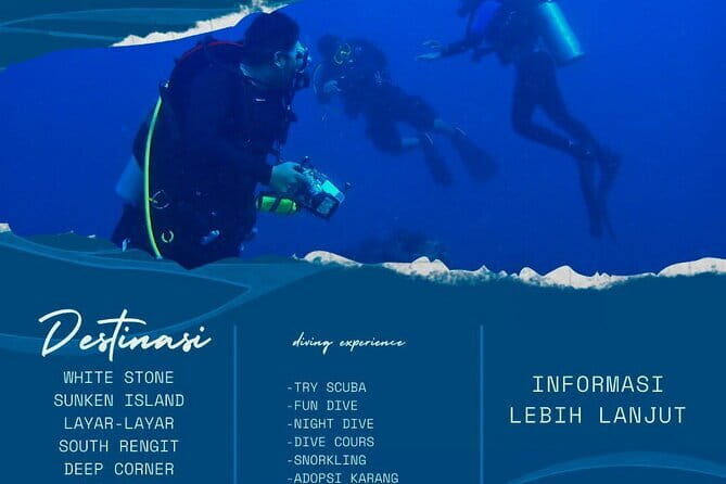 Whale Shark Adventure 2 Days 1 Night Sharing Trip - Who Will Appreciate This Tour Most?