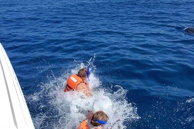 Whale Shark Adventure in Isla Mujeres and Cancun - Final Thoughts on Suitability