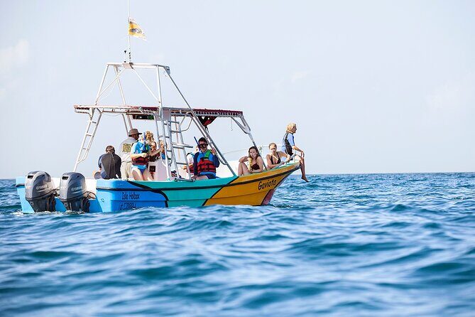 Whale Shark and Snorkeling Adventure from Isla Holbox - Final Thoughts: Who Will Appreciate This Tour?
