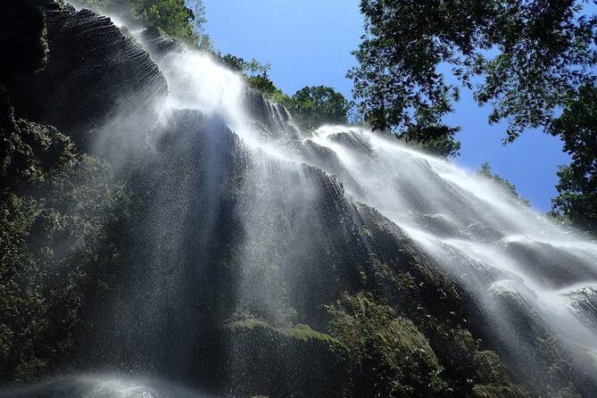 Whale Shark Encounter and Sumilon Sandbar with Kawasan Falls - The Itinerary Breakdown: What to Expect