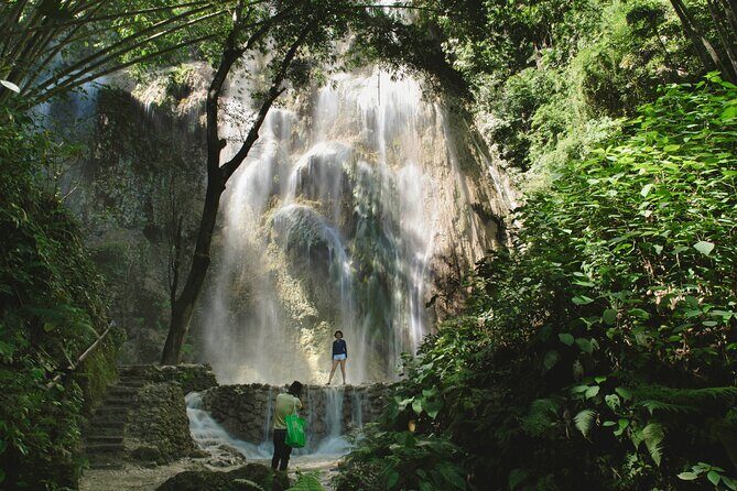 Whale Shark Encounter and Tumalog Waterfalls Tour - The Itinerary Breakdown