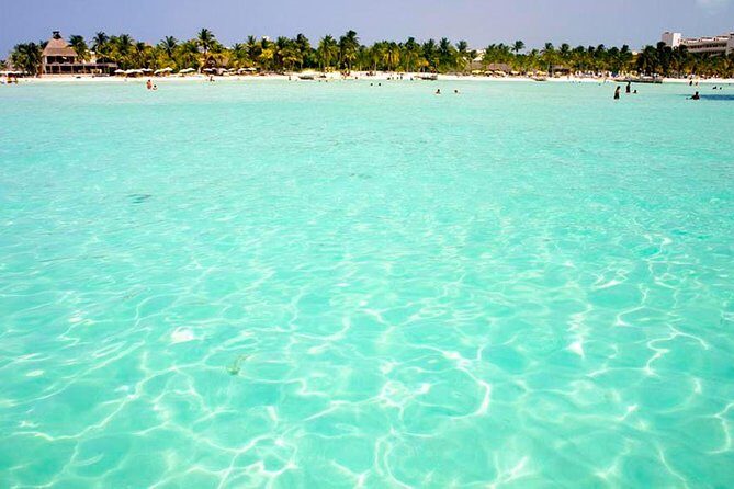 Whale Shark Encounter Experience in Cancun (Snack Lunch included) - The Sum Up: Is This Tour Right for You?