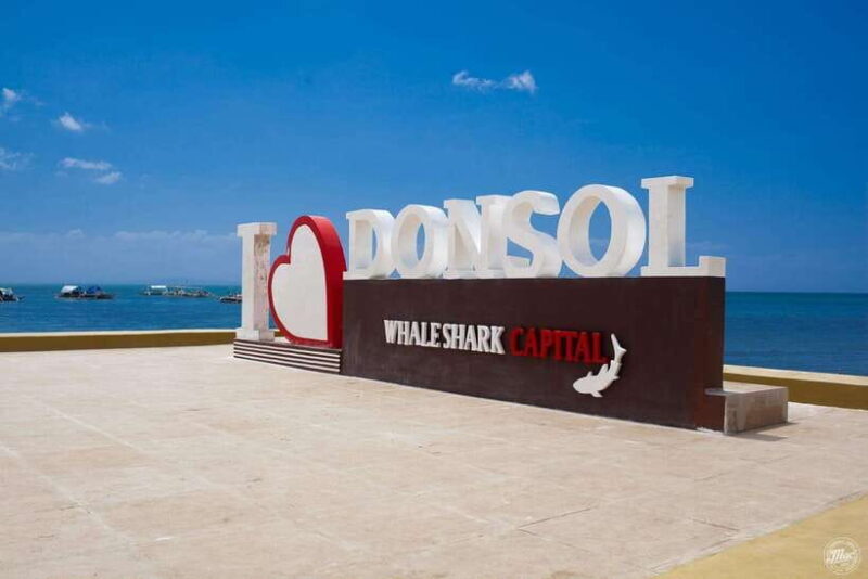 Whale Shark Interaction at Donsol Sorsogon by ZCHEDULISTA - Key Points
